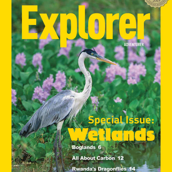 Explorer Magazine May 2020